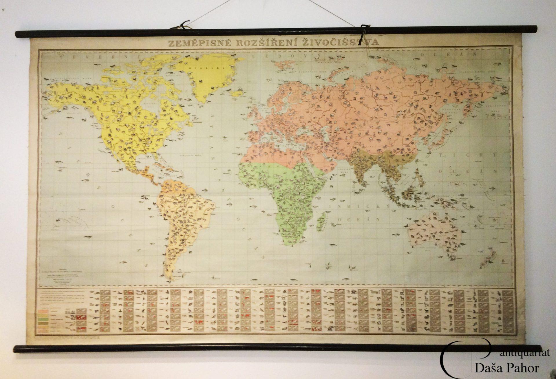 1950s CZECH MAP OF THE WORLD WITH ANIMALS: Zeměpisné rozšíření ...
